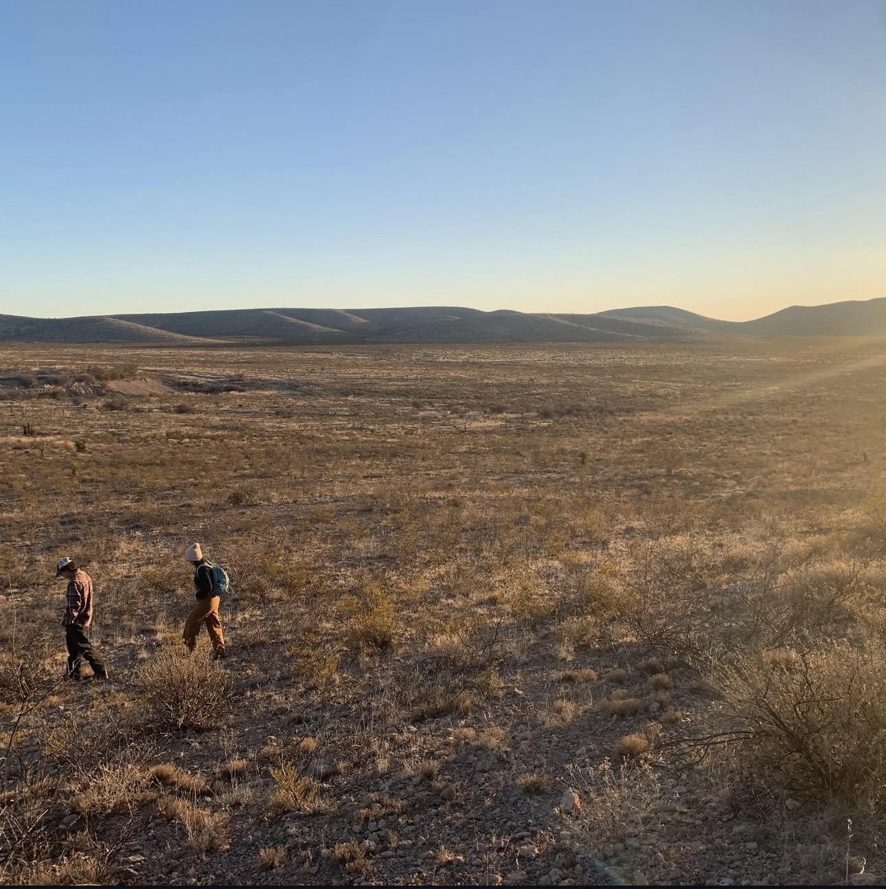 Property ID # 69528 (40 acres) & Property ID # 70303 (20 acres ...