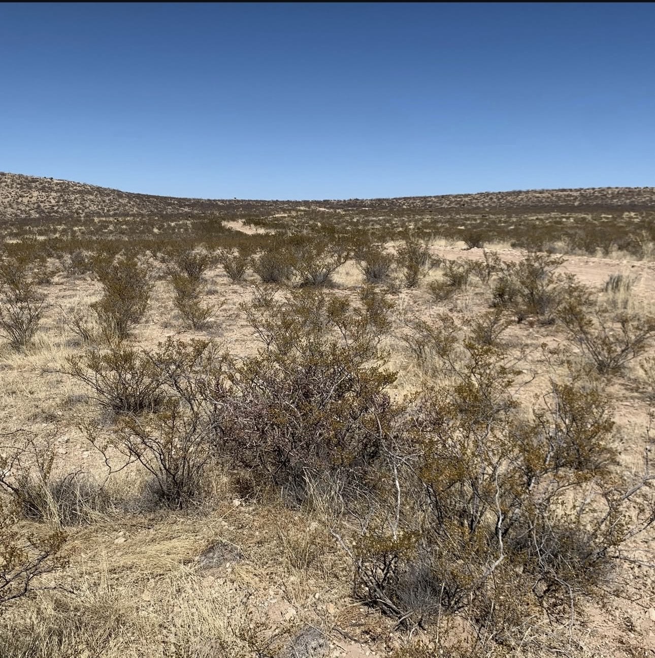 Property ID # 69528 (40 acres) & Property ID # 70303 (20 acres ...